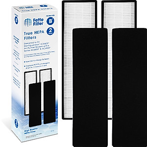 FLT4825 True HEPA H13 Filter B Compatible with GermGuardian Air Purifier AC4300BPTCA AC4900CA AC4820 AC4825 AC4870 AC4825DLX AC4850PT CDAP4500BCA CDAP4500WCA AP2200CA BLACK+DECKER BXAP148. 2-Pack