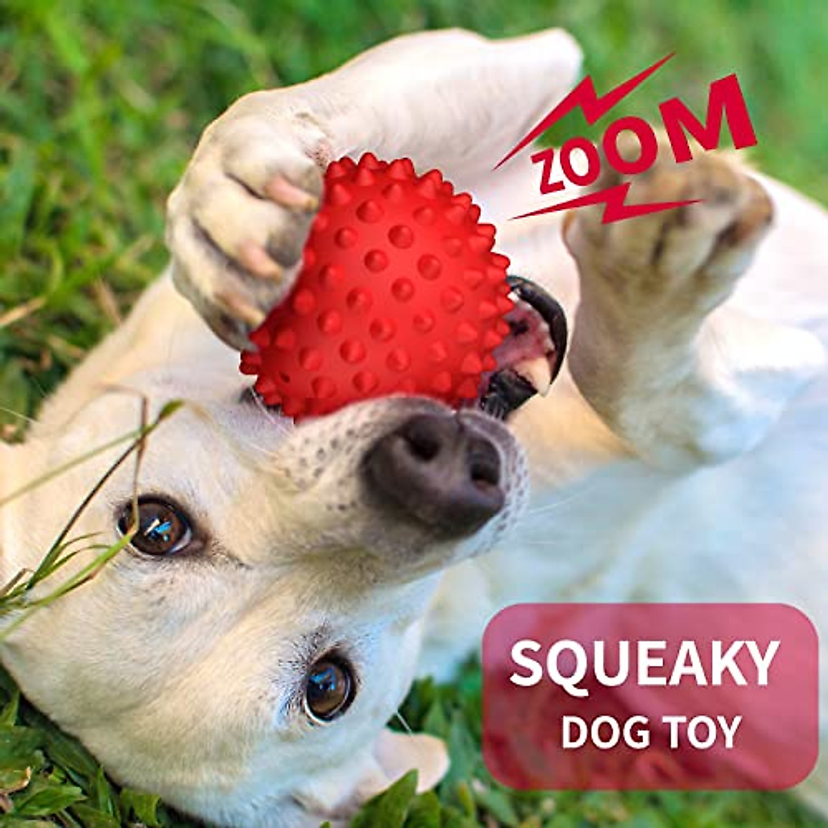 Apasiri 𝐔𝐩𝐠𝐫𝐚𝐝𝐞𝐝 𝐕𝐞𝐫𝐬𝐢𝐨𝐧 Squeaky Toys for Large Dogs, Aggressive Chewers, Tough Spiky Ball Durable Floatable Rubber Pet Toys for Medium Breed