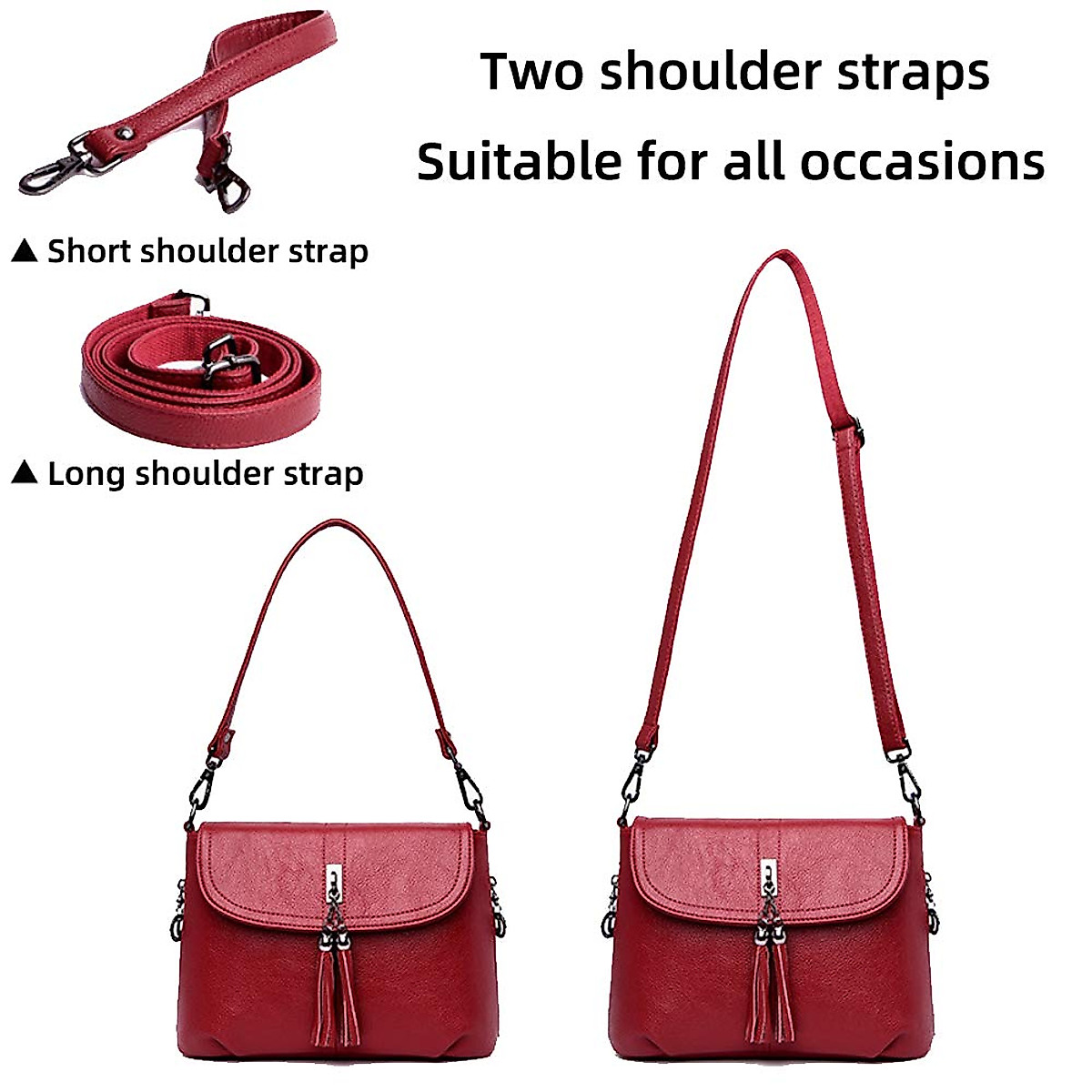 MINTEGRA Crossbody Bag for Women with Tassel Functional Shoulder Purse Saddle Messenger Bag