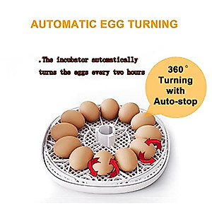 Egg Incubators, 12 Eggs Chicken Incubators Farm Poultry Hatcher Machine, Automatic Egg Turning Temperature Control for Hatching Eggs Chicken Duck Goose Quail Parrot Turkey