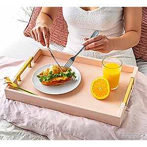 Home Redefined Modern Elegant 18"x12" Rectangle Baby Pink Tray Glossy Shagreen Decorative Ottoman Coffee Table Perfume Dresser Kitchen Serving Tray with Gold Polished Metal Handles for All Occasion's