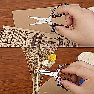 SHWAKK Squirrel Shaped Scissors 4.44 Inch Silver Embroidery Scissors Stainless Steel Sewing Scissor DIY Tools Dressmaker Shears Scissors for Embroidery, Craft, Needlework, Tailoring