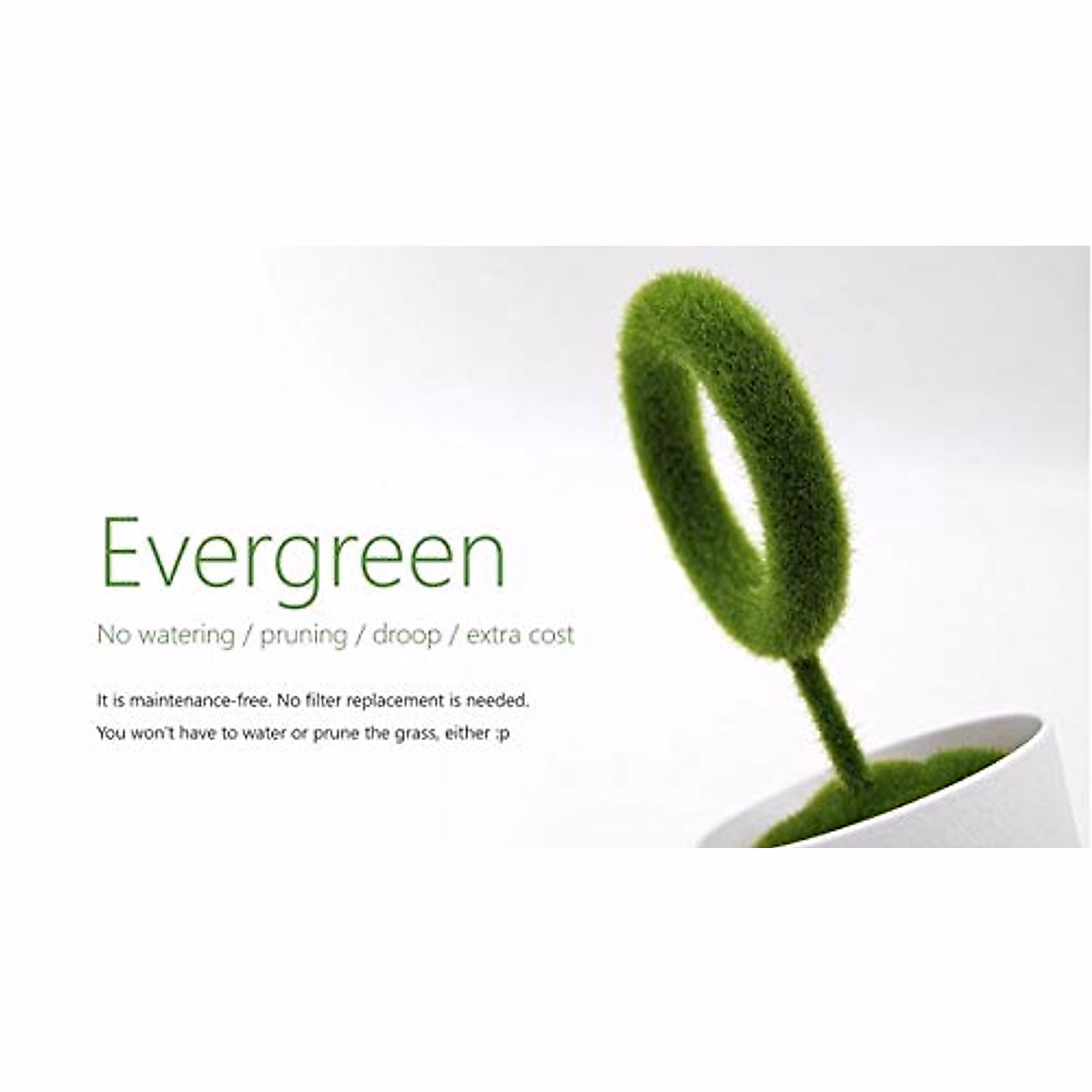 Rockwood Plant Air Purifier