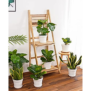 HOMENOTE Pots for Plants, 15 Pack 6 inch Plastic Planters with Multiple Drainage Holes and Trays - Plant Pots for All Home Garden Flowers Succulents (White)