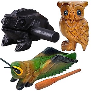Wooden Guiro Rasp Instrument - Frog, Cricket and Owl Set 3, Musical Percussion Tone Block Craft