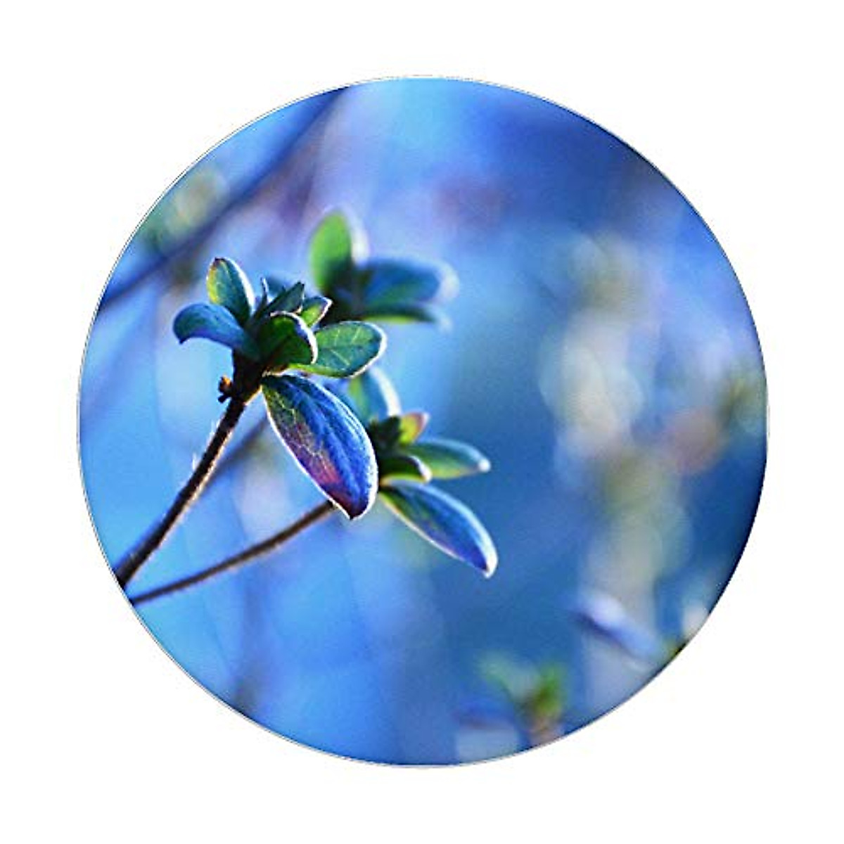 TGM Plant PopSockets Stand for Smartphones and Tablets