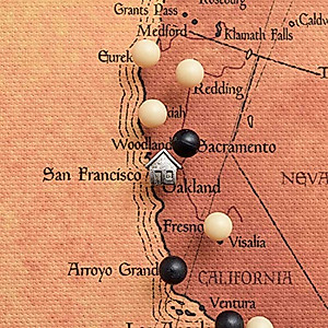 Silver House Metal Map Push Pins