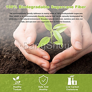 BangShou 14 Inch Disposable Food Trays, 10 Pack 100% Biodegradable, Heavy-Duty Food Crawfish Trays, Compostable Plates Extra Large Paper Plates For Crawfish, BBQ, Party, Serving Platter