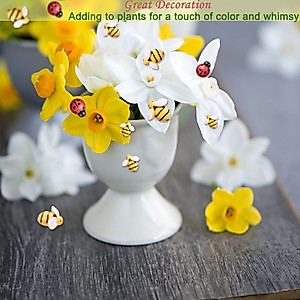 MIKIMIQI 60 Pcs Tiny Resin Bees Ladybugs Decor, Including 30 Pcs Bumble Bee Embellishment 30 Pcs Resin Ladybug Craft Decorations with Storage Box for DIY Craft Wreath Party Decor, 0.98 Inch, 0.74 Inch