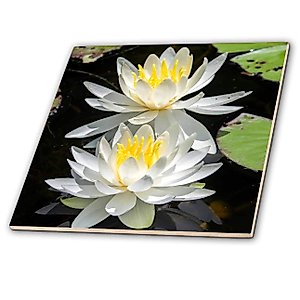 3dRose Garden Flag, White