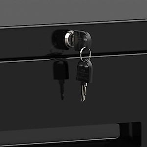 File Cabinet,Home Office Lockable Heavy Duty Metal Lateral File Cabinet with 2 Drawers, Black