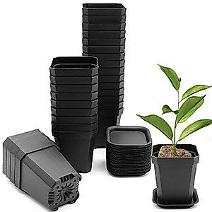 foxany 3" Nursery Pot, 30 Pcs Thick Plastic Plants Pots, Square Flower Planting Pots, Plant Seedling Pots, Seed Starting Pots with Saucers - Black 30 Pcs