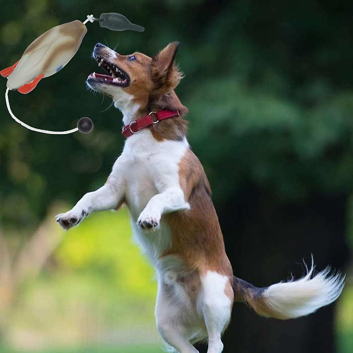 YardGo Duck Dog Toy, The Bird Dummy Teaches Mallard Waterfowl Game, Pet Dog Training Fake Duck Retrieval Duck Chewing Toys Perfect Size, Suitable for Puppies or Adult Hunting Dogs, 33X7X6cm