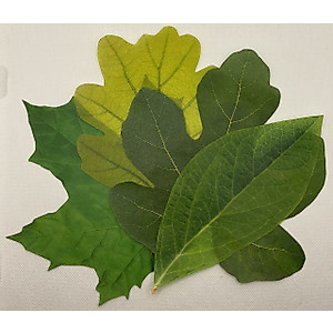 Parchment Paper Leaves for Cheese & Charcuterie Boards - Sisson Distribution Leaves (Pack of 20) (Spring Leaves)