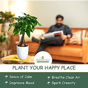 Pixies Gardens New Platic Artificial Flower Bonsai Tree Pot Culture Miniature Tree for Office Desk Home Living Room Furnishings Decorative (Fuchsia)