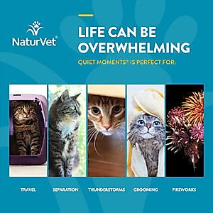 NaturVet Scoopables Quiet Moments Cat Calming Aid - Promotes Calm with Stressful Events Storms, Fireworks, Travel, Separation Anxiety - Cat Health Supplement w/Melatonin - Salmon Flavored | 5.5oz Bag