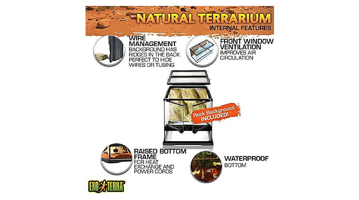 Exo Terra Mini Wide Glass Terrarium for Reptiles