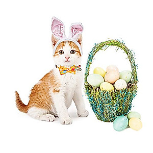 ADOGGYGO 2 Pack Easter Cat Collar with Bow Tie Bell, Kitten Collar Breakaway with Removable Bowtie Carrot Easter Egg Pattern Collar for Cat