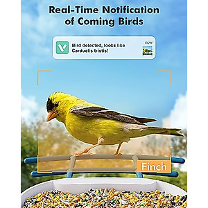 Dzees Security Camera Outdoor Wireless - Battery Powered WiFi Outdoor Camera Wireless, Smart Bird Feeder with Camera, AI Identify Bird Species, Auto Capture Bird Videos