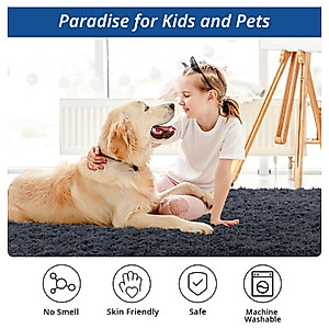 BALAPET 9x12 Fluffy Modern Plush Area Rug, Ultra Soft Large Faux Fur Area Rug for Bedroom Living Room, Non-Skid Indoor Carpet for Kids Playroom Home Decor, Dark Grey