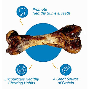 123 Treats - Meaty Dog Bone Treat - Large 100% Natural Pork Chews for Dogs Dog Bones for Aggressive Chewers (Pork, 2 Count)