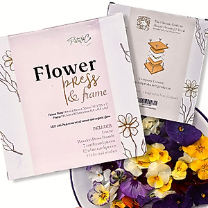 Petal Co Wooden Flower Press 7inch x 7inch with Frame for pressed flowers and leaves including Ultimate Guide to Flower Pressing