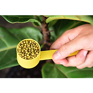 Fiddle Leaf Fig Slow-Release Fertilizer by Perfect Plants - Resealable 5oz. Bag - Consistent Nutrient Enrichment - for Indoor and Outdoor Use on All Ficus Varieties