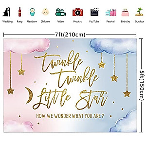 Lofaris Twinkle Twinkle Little Star Gender Reveal Backdrop Boy or Girl Pink or Blue How We Wonder What You are Golden Star Party Decoration Photography Background Cake Table Banner Wallpaper 7x5ft