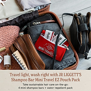 J·R·LIGGETT'S All-Natural Mini Shampoo Bars with Antioxidants - Sulfate-Free, Supports Strong and Healthy Hair, Travel Pouch Pack of 4