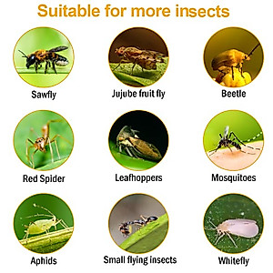 Dwcom 20PCS Sticky Fly Strips, Fly Paper Roll Hanging, Fly Tape Trap Ribbon, Gnat Mosquito Catcher Killer Indoor&Outdoor