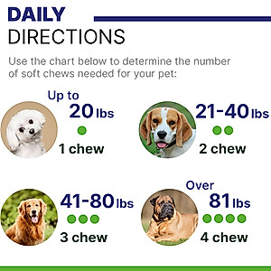 Advanced Hemp Hip & Joint Supplement for Dogs - Glucosamine for Dogs - Dog Joint Pain Relief Treats - Chondroitin Turmeric MSM Hemp Oil - Hemp Treats for Joint Health - Senior Mobility Support Chew