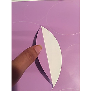 Polka Dot Wall Decals Girls Room Wall Decor Stickers, Wall Dots, Vinyl Circle Peel & Stick DIY Bedroom, Playroom, Kids Room, Baby Nursery Toddler to Teen Bedroom Decoration (Dark & Light Purple)