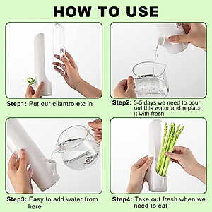 UEOZ Herb Saver for Refrigerator, Herb Saver Pod, Fresh Herb Keeper for Cilantro, Mint, Parsley, Asparagus, Keeps Greens Fresh for 2-3 Weeks (1PCS)