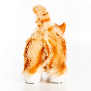 THE QUEEN'S TREASURES 18 Inch Doll Pets, Tabby Kitty Cat is The Perfect Furry Companion, Doll Toy Compatible with American Girl Dolls