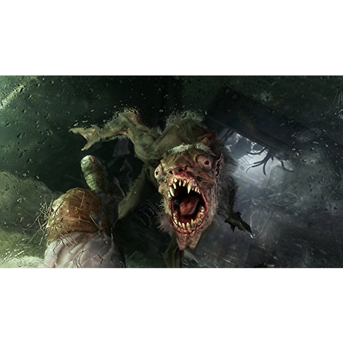 Metro Exodus (Xbox One)