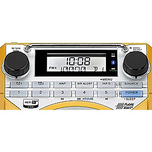 Sangean U4 AM/FM-RBDS/Weather Alert/Bluetooth/Aux-in Ultra Rugged Rechargeable Digital Tuning Radio (Renewed)