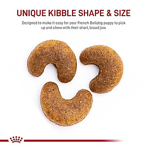 Royal Canin French Bulldog Puppy Dry Dog Food, 10.5 lb Bag