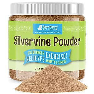 Raw Paws Silvervine Powder, 75 Grams - 2X More Attractive than Catnip for Cats, 100% Silver Vine Gall Fruit Powder, Matatabi Silvervine Cat Toy for Indoor Cats, Catnip Kitten Toys, Silvervine for Cats