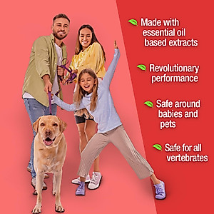 NatroZing Multi-Purpose Insect Killer 11 OZ, Pest Control Spray Indoor, Kills & Repels Fruit Flies Gnats Moths Spiders for Home, Lasting Prevention, Plant Extract Based Non-Toxic, Child & Pet Safe