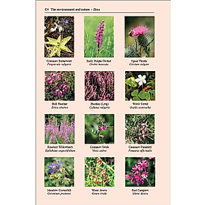 West Highland Way: British Walking Guide: Glasgow to Fort William - 53 Large-Scale Walking Maps (1:20,000) & Guides to 26 Towns & Villages - Planning, ... to Stay, Places to Eat (Trailblazer Guides)