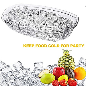 Fruit Platter Tray for Parties, Yatmung Serving Tray on Ice Serving Platter and Tray for Parties Veggie Tray with Lid 4 Section Catering Trays with Lids for Appetizers, Seafood, Desserts, 2 Layers