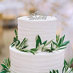 Teenitor Set of 5 Crystal Headband, Rhinestone Headbands for Women Hair Jewelry Wedding Headband Crown Party Tiaras-Silver