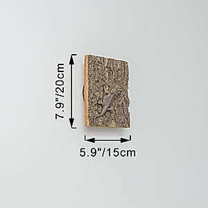 SKIVTGLAMP Bark and Cork Board Wall Sconce Rechargeable Battery Operated LED PIP Motion IR Sensor Wall Lamp, No Drilling Cordless Hand Crafted for Rustic Home Decor Backdrop Customizable, Lizard