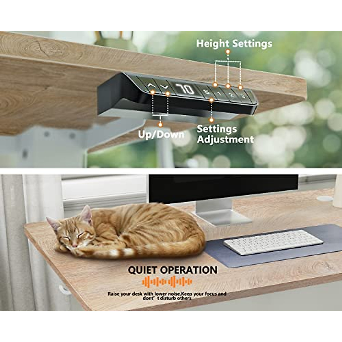 BANTI 55'' Standing Desk, Electric Stand up Height Adjustable Home Office Table, Sit Stand Desk with Splice Board, Maple