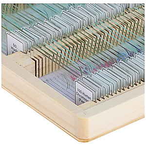 Celestron 44412 Prepared Microscope Slides (100-Piece Set)
