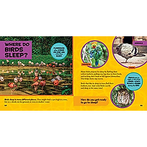 National Geographic Little Kids First Big Book of Where (National Geographic Little Kids First Big Books)