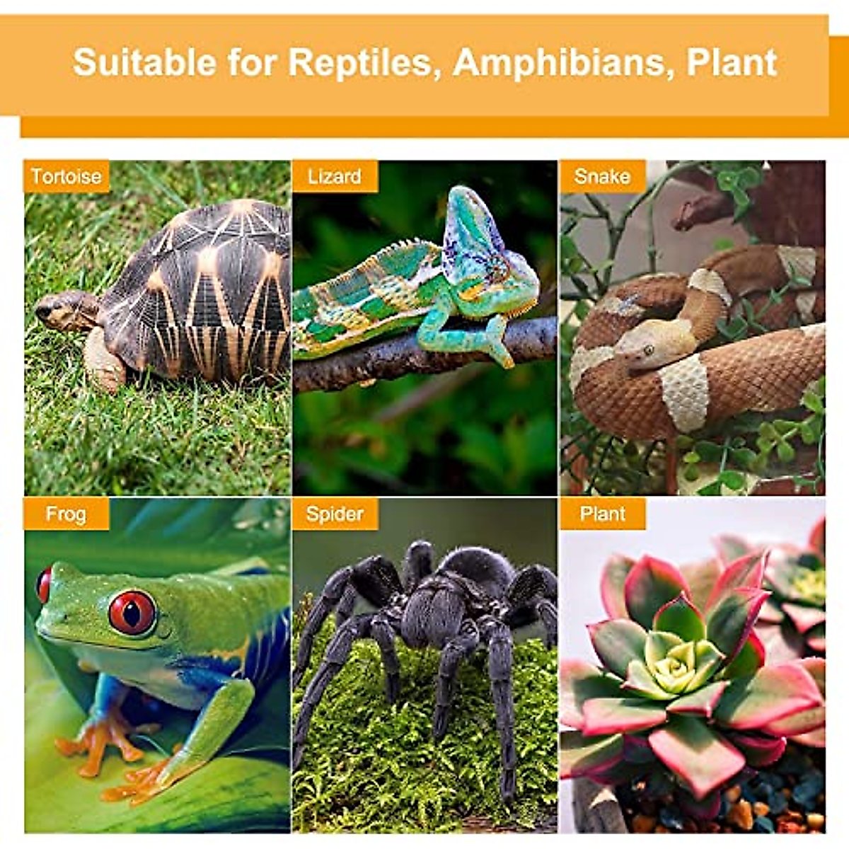 KABASI Reptile Heat Lamp Fixture with 2 Bulbs, UVA + UVB Full Spectrum Sun Lamp with 360°Rotatable Clips and Dimmable Switch, Basking Spot Heating Light Lamp for Lizard Turtle Snake Amphibian, 25W+50W