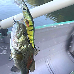 PROBEROS Minnow Bass Fishing Lures - Jerkbait Sinking Lure Set Hard Baits Crankbait for Trout Catfish Musky Bluegill Fishing Plug 6Pcs/kit