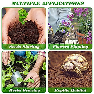 ZeeDix 100pcs (50mm) Coco Coir Pellets Organic Potting Soil for Planting Compressed Coco Coir Soil Coconut Soil Seed Starters for Indoors or Outdoors Bonsai Herbs Plants Flowers and Vegetables