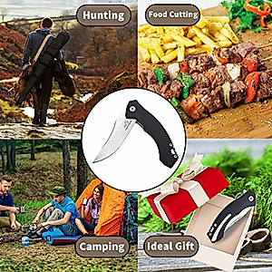 FreeTiger Foldable Pocket Knife(FT711) D2 Steel 3.62 Inch Fine Edge Blade -Best Camping Hunting Fishing Hiking Survival Military EDC Tactical Knives Men Gifts for Dad Backpacker